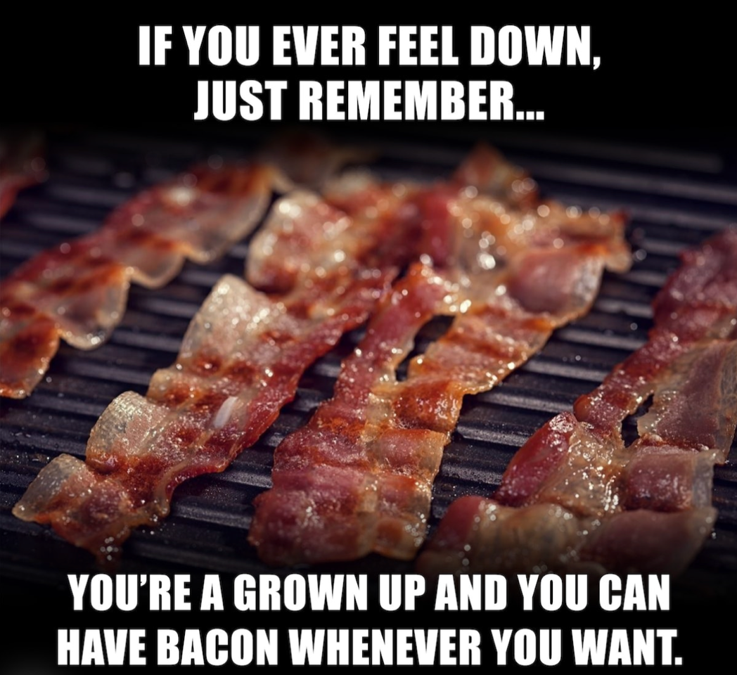 Bacon Meme of the Week | Bacon's Rebellion