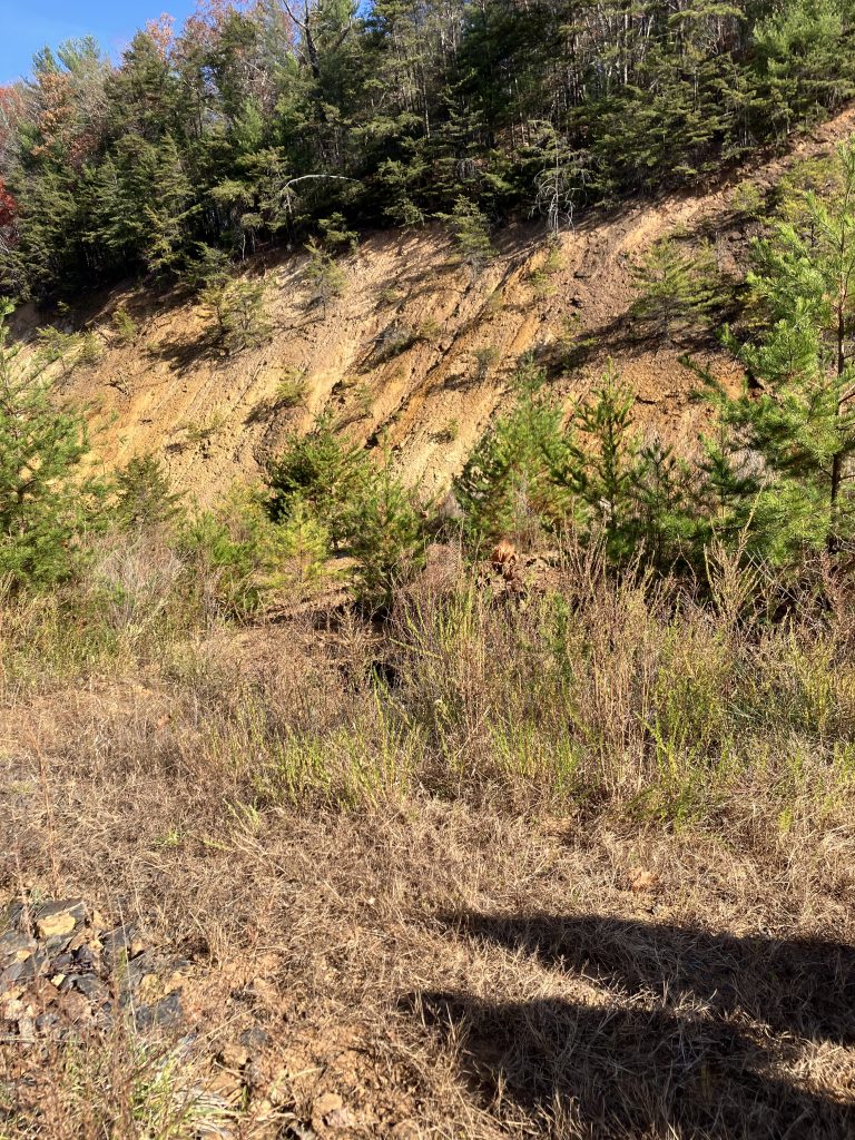 Caves, Hokie Stone, and Crayons | Bacon's Rebellion
