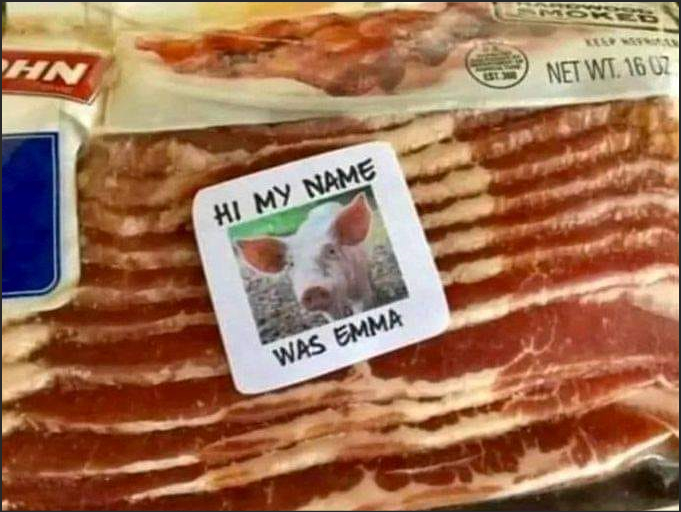 Bacon Meme of the Week | Bacon's Rebellion