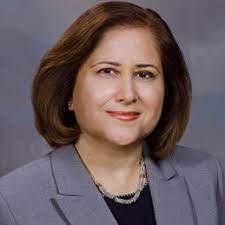 Check the Mirror, Senator Hashmi | Bacon's Rebellion