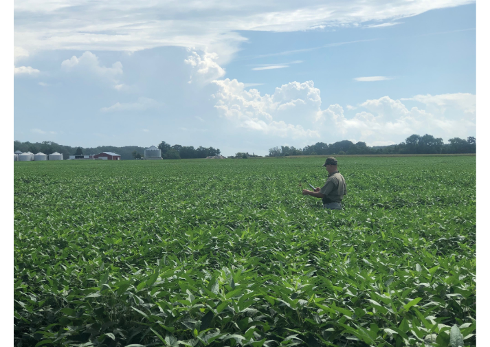 The Trump Tariffs and Virginia Farmers | Bacon's Rebellion