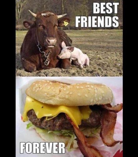 Bacon Meme of the Week | Bacon's Rebellion